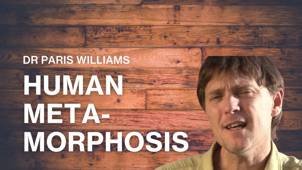 Dr Paris Williams, The Human Metamorphosis · Grant Giles